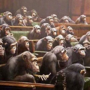 欢迎来到hashmat safi的直播间