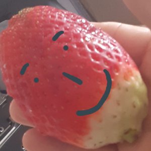 Watch Cryptobro Live Stream on BIGO LIVE