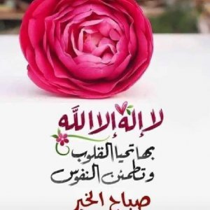 BIGO LIVE'da Abdellah Tghissi Canlı Yayın İzleyin