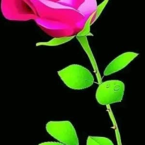 Watch zain jani 302,! Live Stream on BIGO LIVE