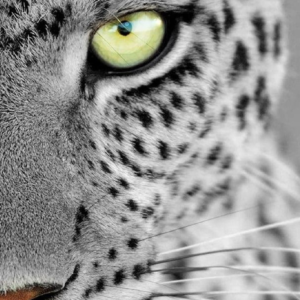 欢迎来到R🔺jpuT🦂BranD🦘的直播间