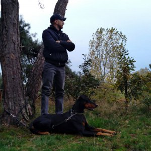 Watch Majuk Live Stream on BIGO LIVE