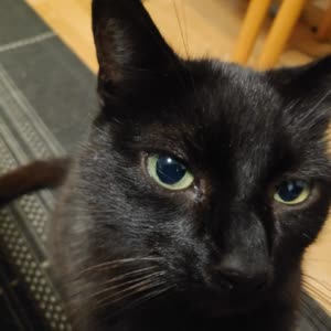 Watch 😜Stephanie¿ Live Stream on BIGO LIVE