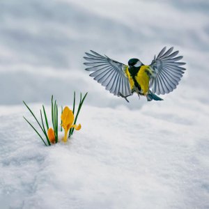 Watch xDee Live Stream on BIGO LIVE