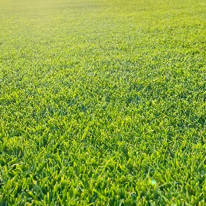 Watch It's Me Live Stream on BIGO LIVE