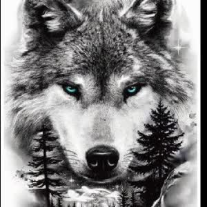 Watch Kuh L Otz Live Stream on BIGO LIVE