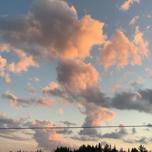 Watch Ferhat Kalkan Live Stream on BIGO LIVE