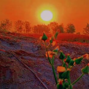 Regardez Malik Sab ️ en direct sur BIGO LIVE.