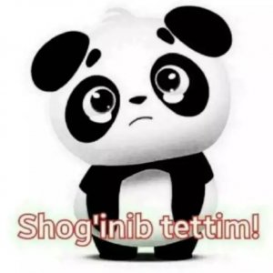 BIGO LIVE'da 🖤80-РеГиоН🖤 Canlı Yayın İzleyin