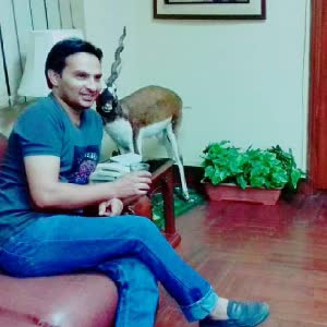 Watch Naveed Jatt Live Stream on BIGO LIVE