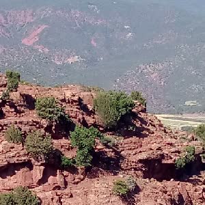 Watch chinwi Live Stream on BIGO LIVE