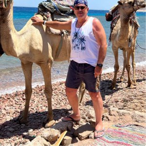 Watch Tarek Aly Live Stream on BIGO LIVE