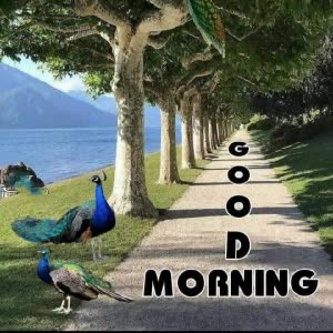 Watch mythreyan Live Stream on BIGO LIVE