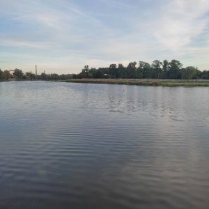 Watch Dufalak Live Stream on BIGO LIVE