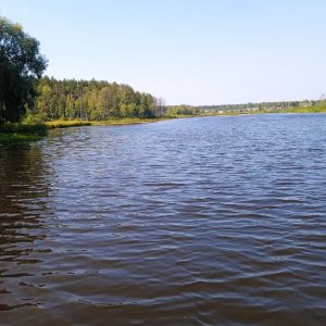 Watch Nozim Live Stream on BIGO LIVE