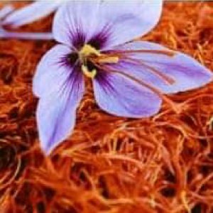 Watch Ahmad Live Stream on BIGO LIVE