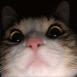 Watch GOODBYE. Live Stream on BIGO LIVE