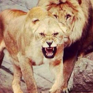 Watch 👑Mrs Angel😈 Live Stream on BIGO LIVE