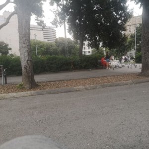 Watch dinar Live Stream on BIGO LIVE