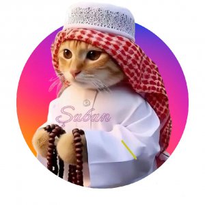 Watch Shaabo 𝕍𝕚𝕡 Live Stream on BIGO LIVE