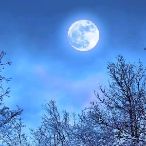 Watch mona mahmoud Live Stream on BIGO LIVE