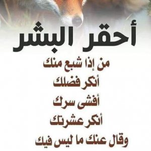 Watch Wolft Live Stream on BIGO LIVE