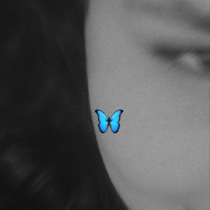 Watch aso||اسو ,TNA Live Stream on BIGO LIVE