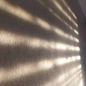 Смотрите sanane прямую трансляцию на BIGO LIVE