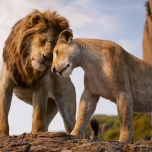Watch SIMBA Live Stream on BIGO LIVE