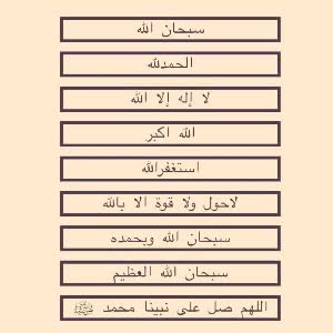 Watch WARD Live Stream on BIGO LIVE