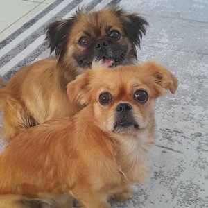 Watch 🥳Hera🥳kotaya d Live Stream on BIGO LIVE