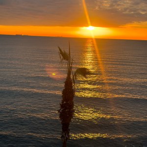 Watch Sena Live Stream on BIGO LIVE