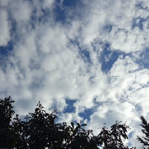 Watch Hala Mohammad Live Stream on BIGO LIVE