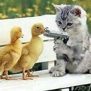 欢迎来到Rizal Alih的直播间