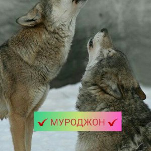 Watch BÒRILAR 07 Live Stream on BIGO LIVE