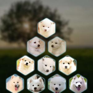 Watch ~Princess MMA~ Live Stream on BIGO LIVE