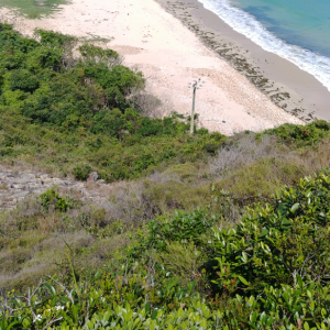 Watch Cenal Live Stream on BIGO LIVE