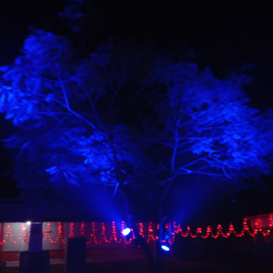 Watch biplob Roy Live Stream on BIGO LIVE