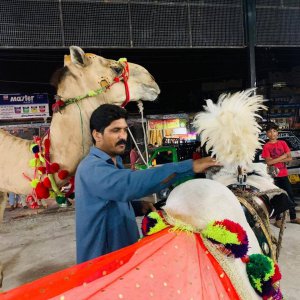 Watch Bani Khan Live Stream on BIGO LIVE