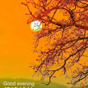 Watch J.Lim Live Stream on BIGO LIVE