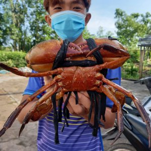 Watch 𝕊𝕏💞văn🍀Quyến Live Stream on BIGO LIVE