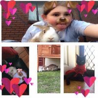 Watch Candice Powell Live Stream on BIGO LIVE