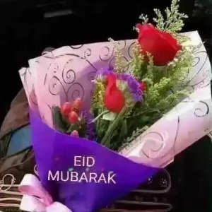 欢迎来到Md Morshed Alam的直播间