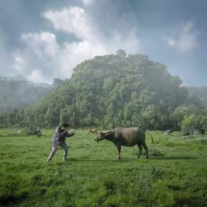 Watch Dandy Saputra Live Stream on BIGO LIVE