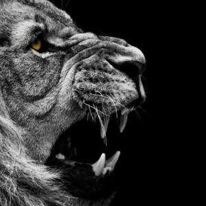 Watch KeV...... (iN).. Live Stream on BIGO LIVE