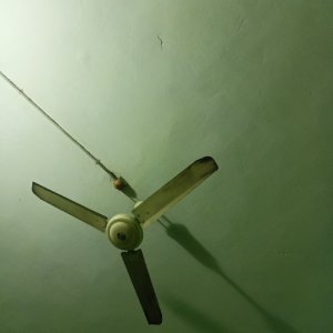 Watch Sam zon Live Stream on BIGO LIVE