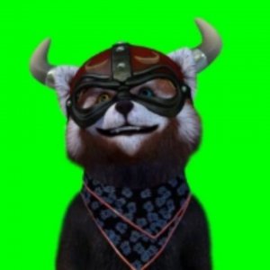 Watch Pubba play Live Stream on BIGO LIVE