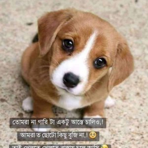 Watch Meta Live Stream on BIGO LIVE