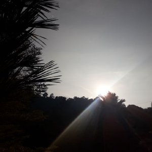 Watch Walao Eh哇咾哥(⊙﹏⊙) Live Stream on BIGO LIVE