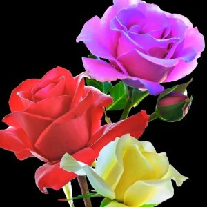 Watch Naing Win Live Stream on BIGO LIVE